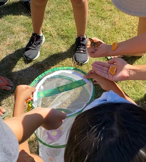 Homeschool Classes in Woodland Hills - Spring - Learn Beyond The Book