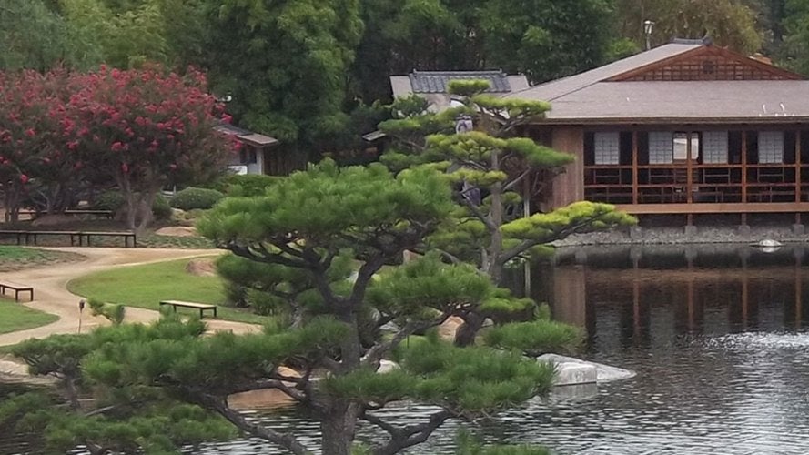 Spring Classes - Learn Beyond The Book